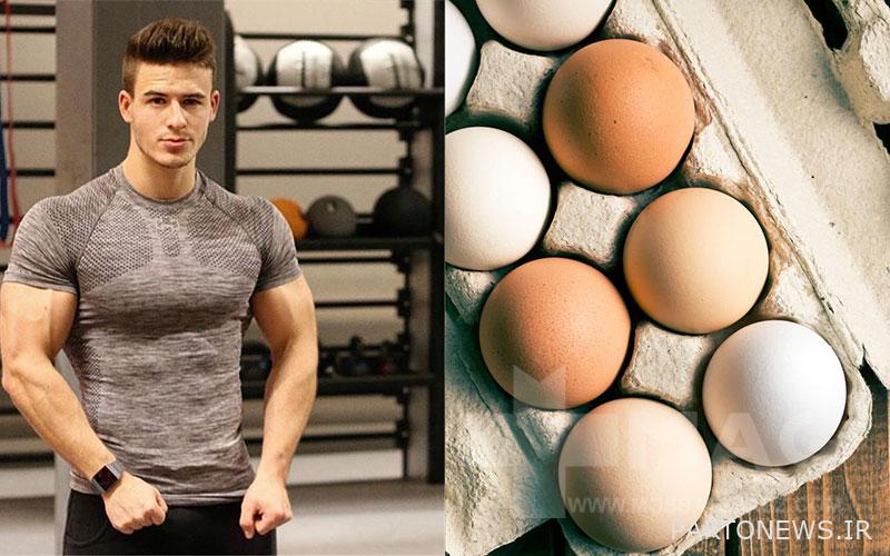 Why is egg consumption important in bodybuilding? | پرتو نیوز Why is egg consumption important in bodybuilding? | پرتو نیوز